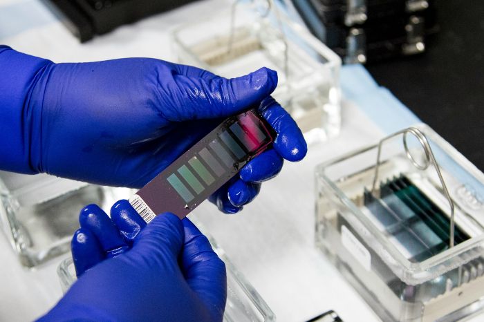 Jade Biosciences raises $80 million for autoimmune work | Biotechnology ...